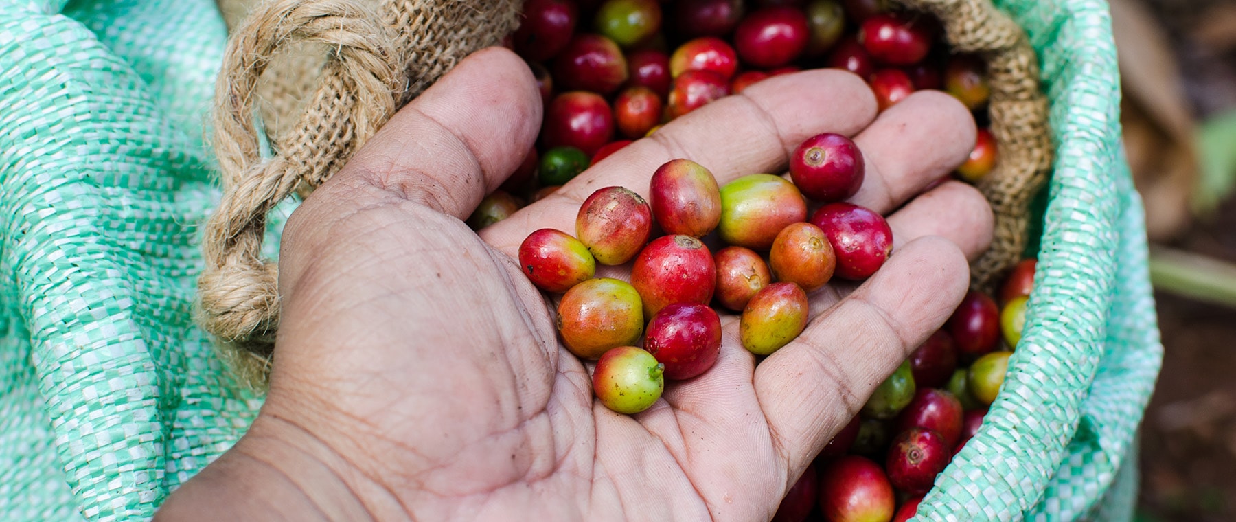 Why Fairtrade? – CRU Kafe