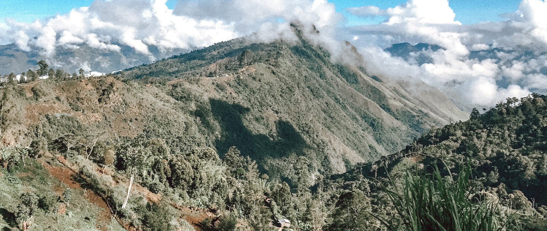 Coffee in Context - Papua New Guinea – CRU Kafe